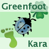 Background Info | GreenfootKara | code.makery.ch